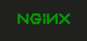 Vulnerabilidad de desbordamiento de búfer en NGINX JavaScript (njs ...